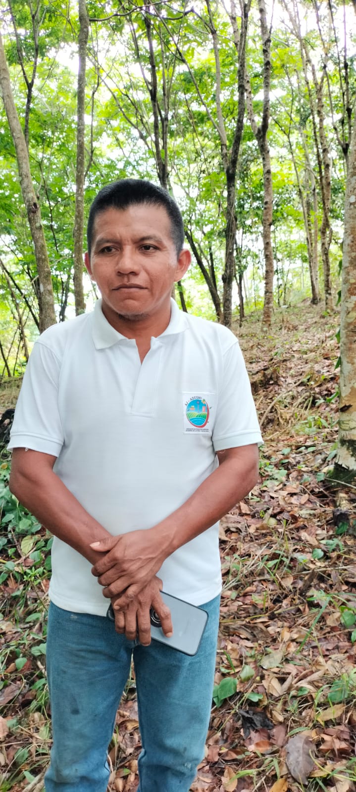 Guardianes del Bosque lidera reforestación para recuperar tierras